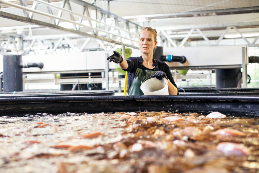 Probiotics & Microbials Solutions | Aquaculture | BIO-CAT