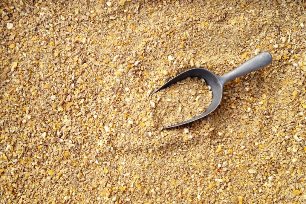 Probiotics & Microbials Solutions | Aquaculture | BIO-CAT