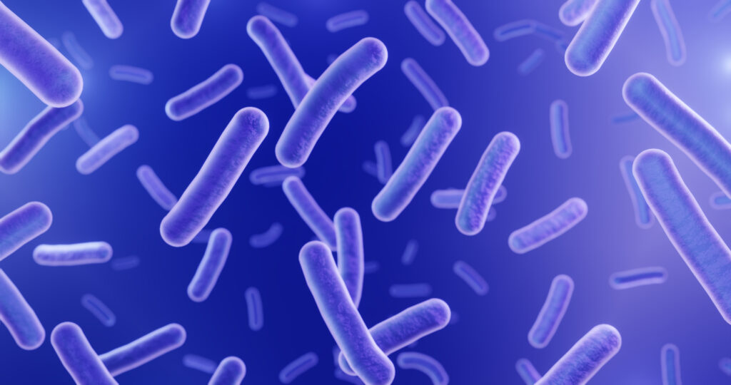 Intro to Microbes - www.bio-cat.com