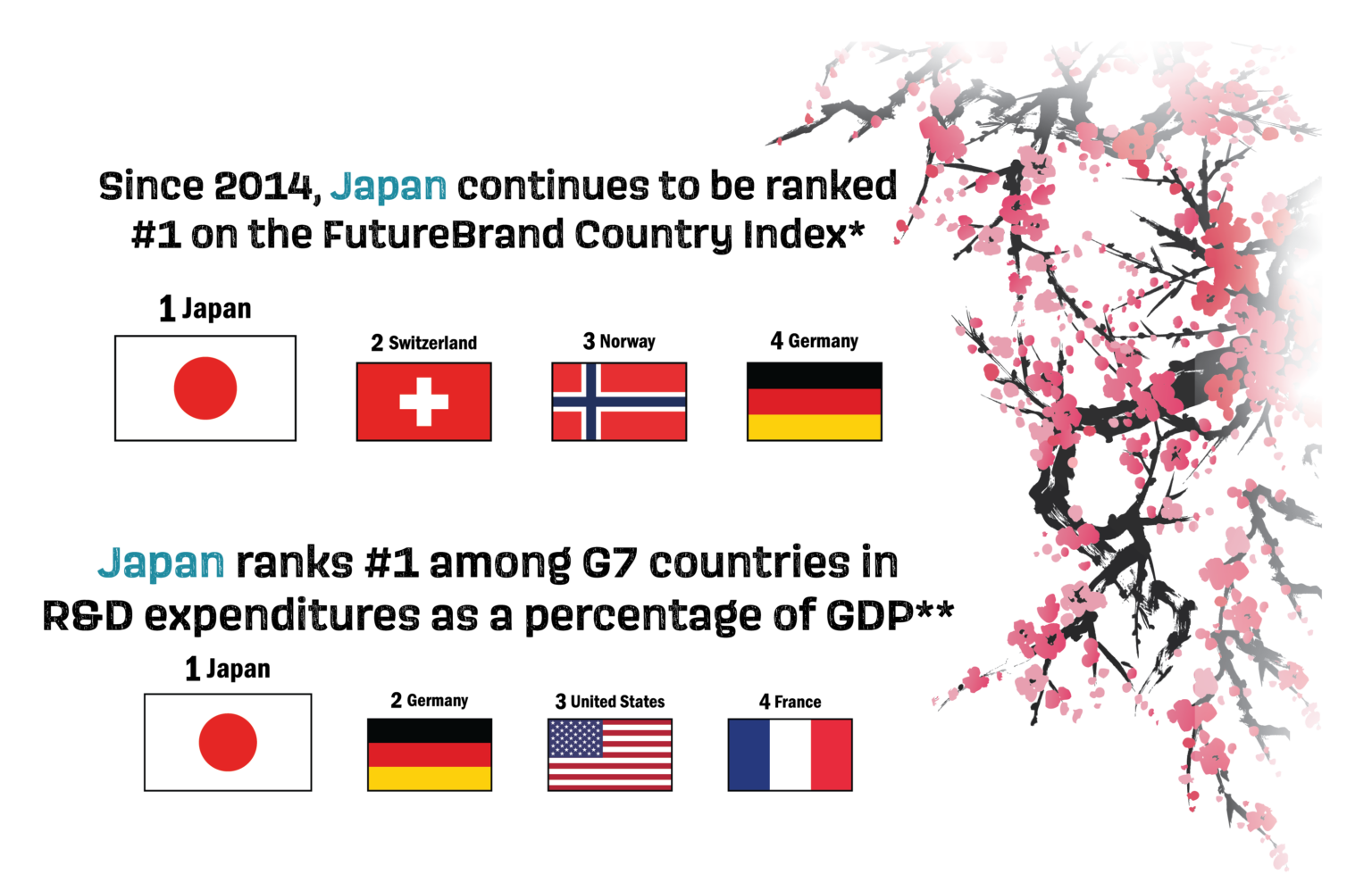 Superior Enzyme Sourcing